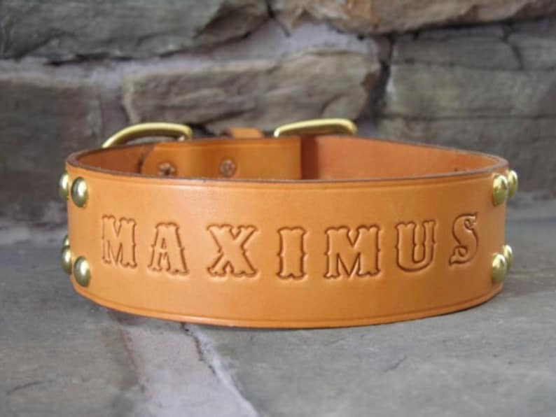 Extra Large Custom Made Leather Dog Collar With Row Spots 2 - Etsy