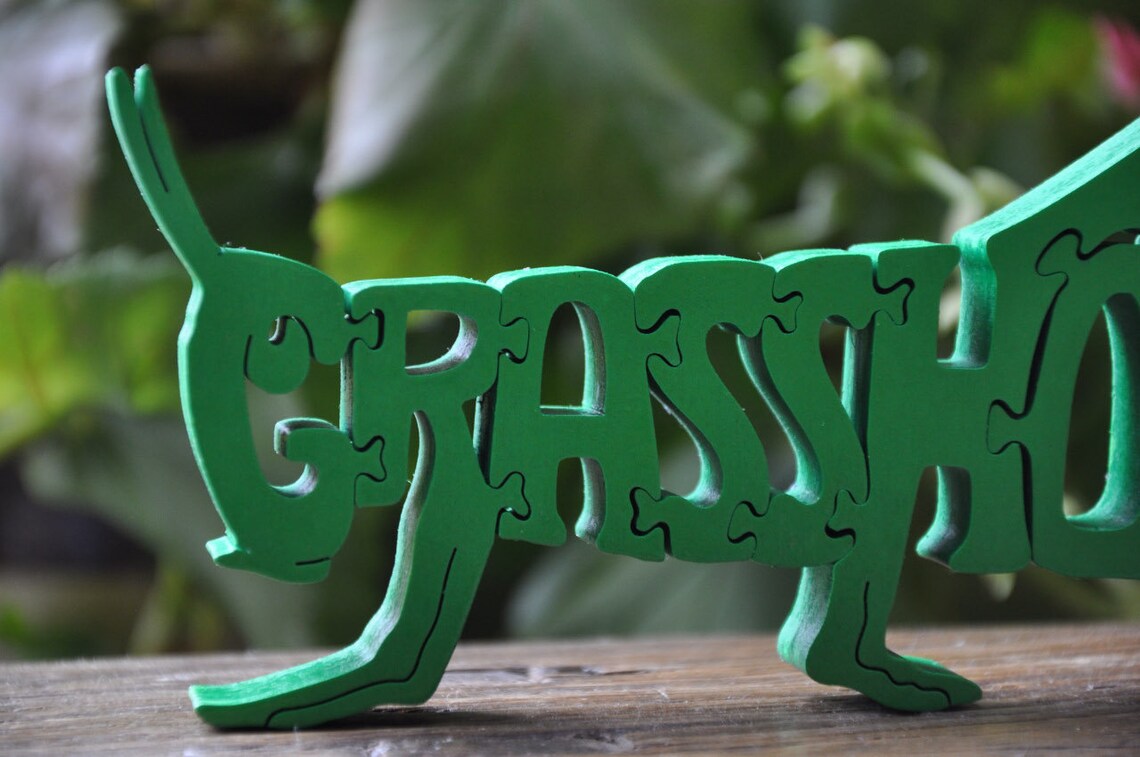 Grasshopper Insect Wooden Puzzle Toy Hand Cut Figurine Nature - Etsy