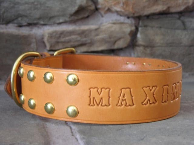 Extra Large Custom Made Leather Dog Collar With Row Spots 2 Inches Wide ...