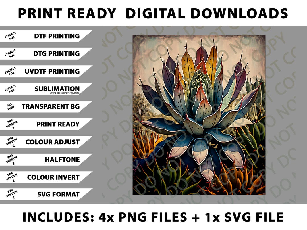 Agave Plant Collectors Agave Mexican Folk Painting Png Bundle, SVG ...