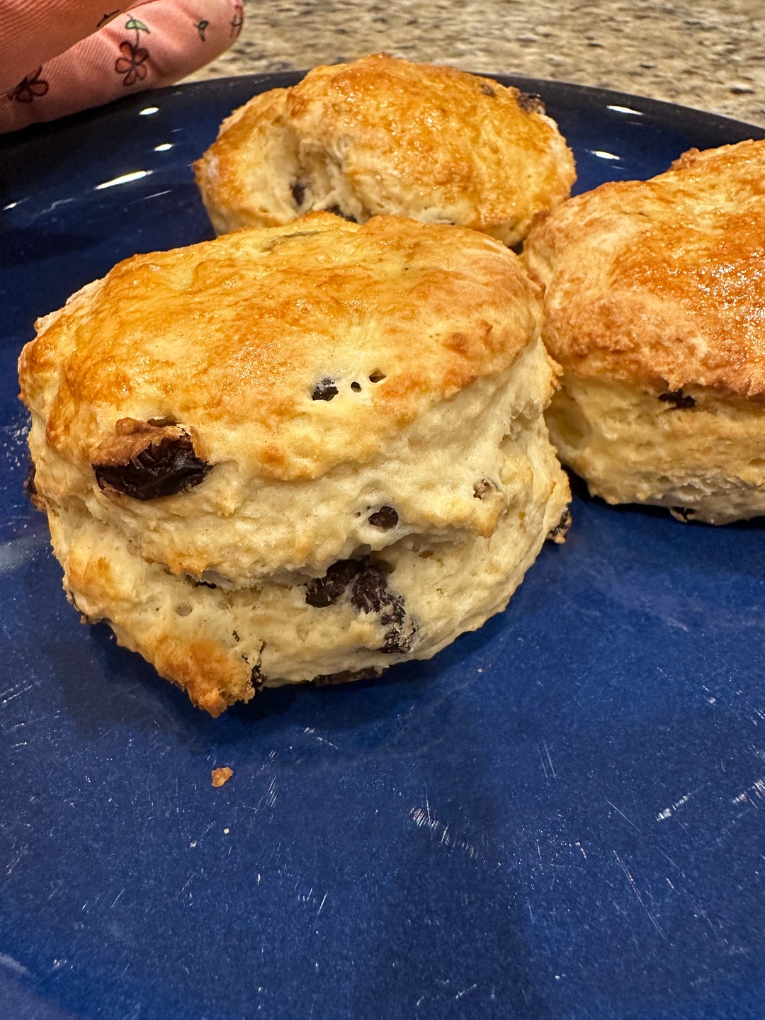 Scones - Traditional British Round Fruit Scones (6) - Etsy