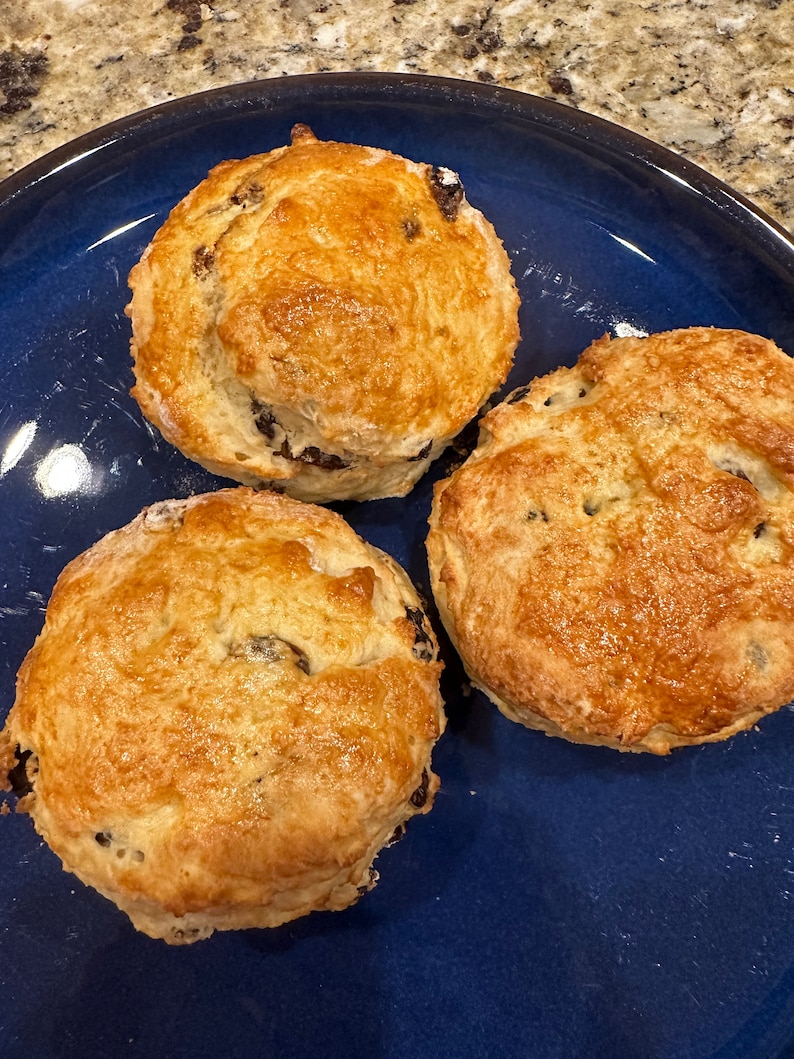 Scones - Traditional British Round Fruit Scones (6) - Etsy