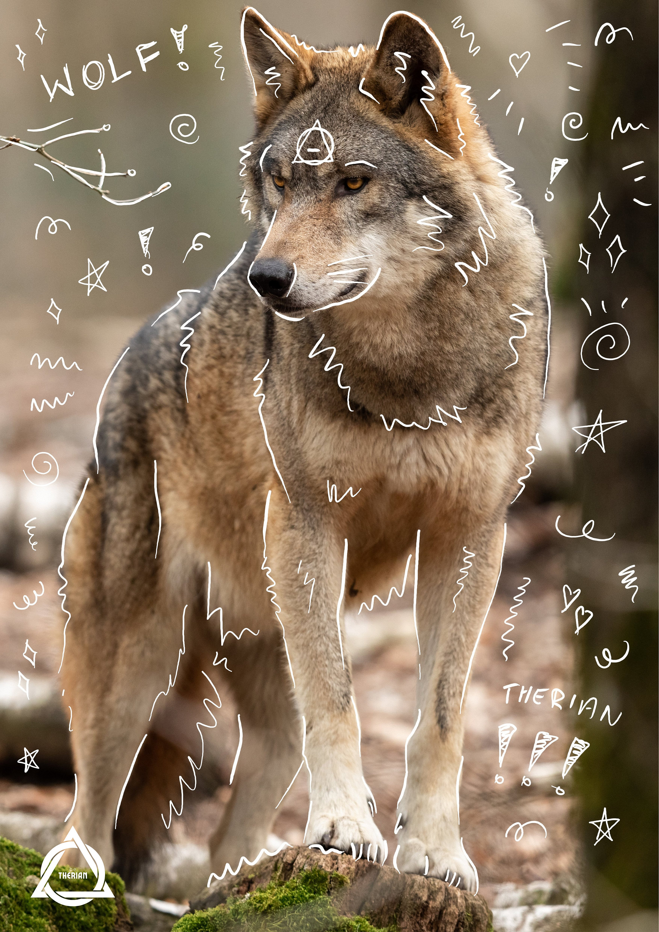 Therian Wolf Theta-delta Poster Digital A3 - Etsy