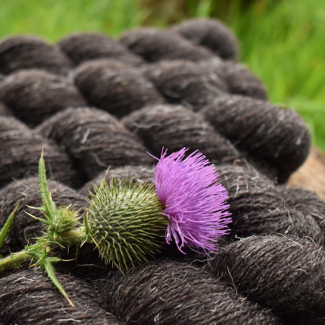 British Breeds Scottish Lace Pack - Etsy