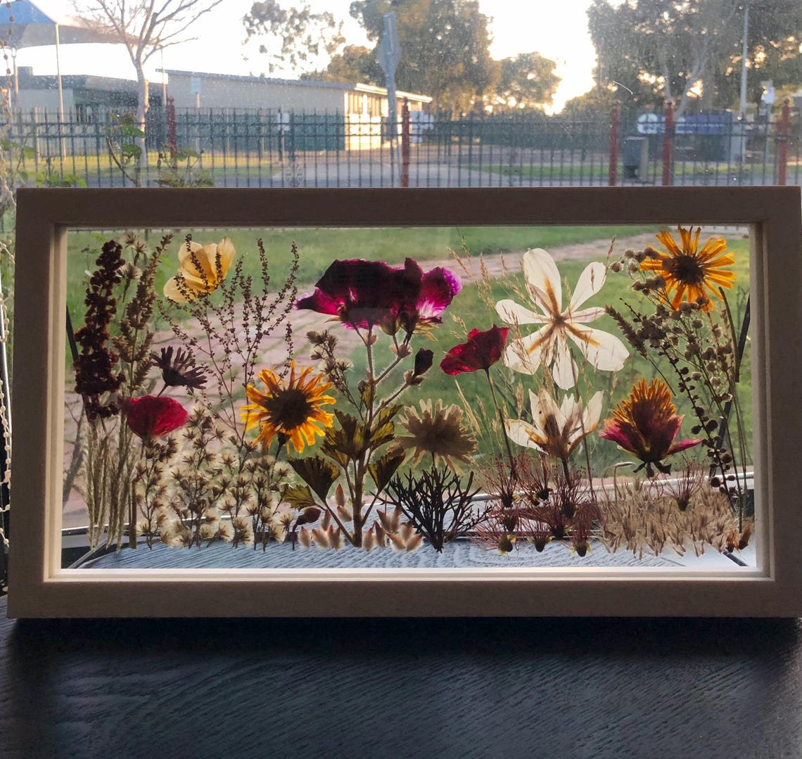 Pressed Flower Frame, Dried Flowers, Real Pressed Flowers Art, Double ...