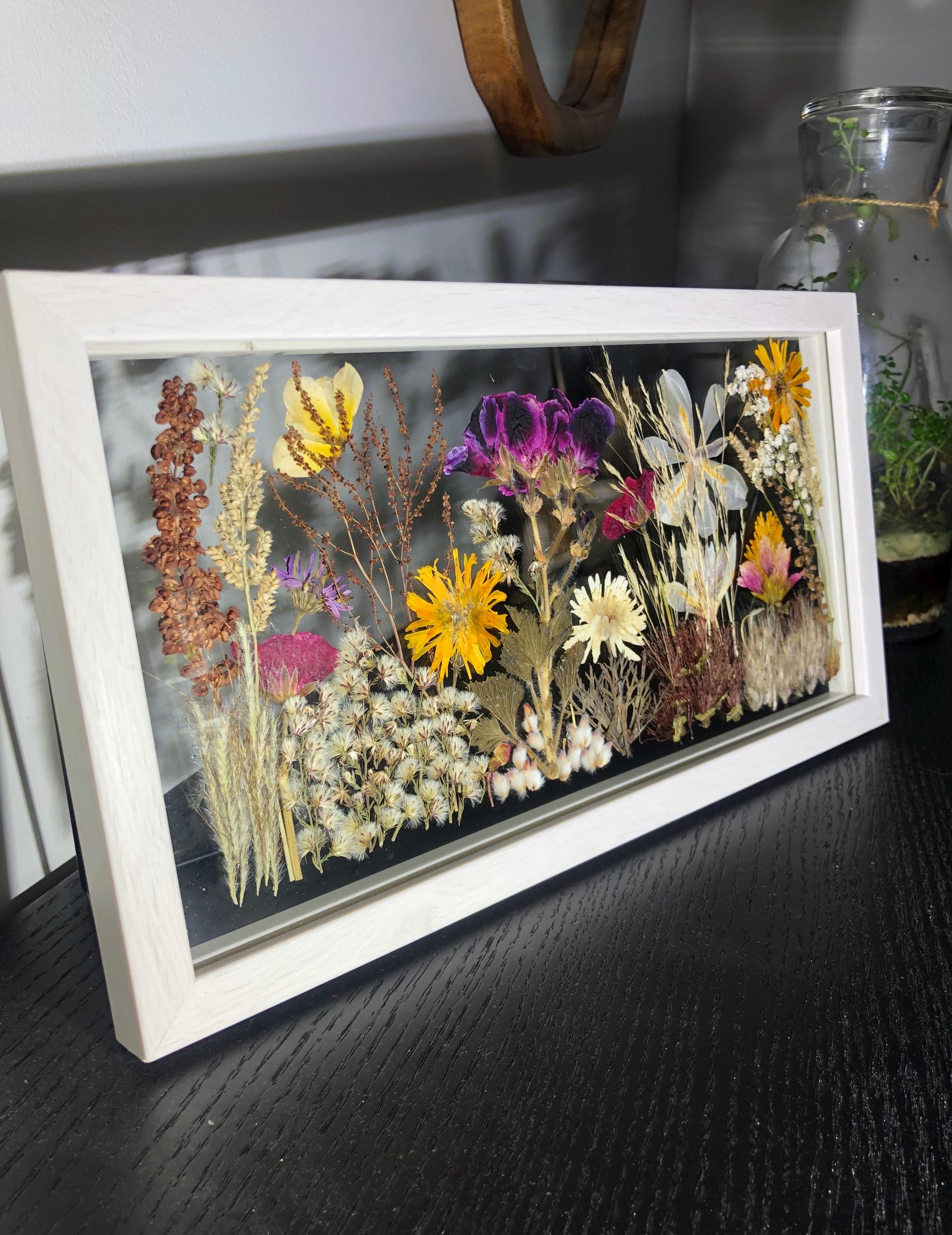 Pressed Flower Frame, Dried Flowers, Real Pressed Flowers Art, Double ...