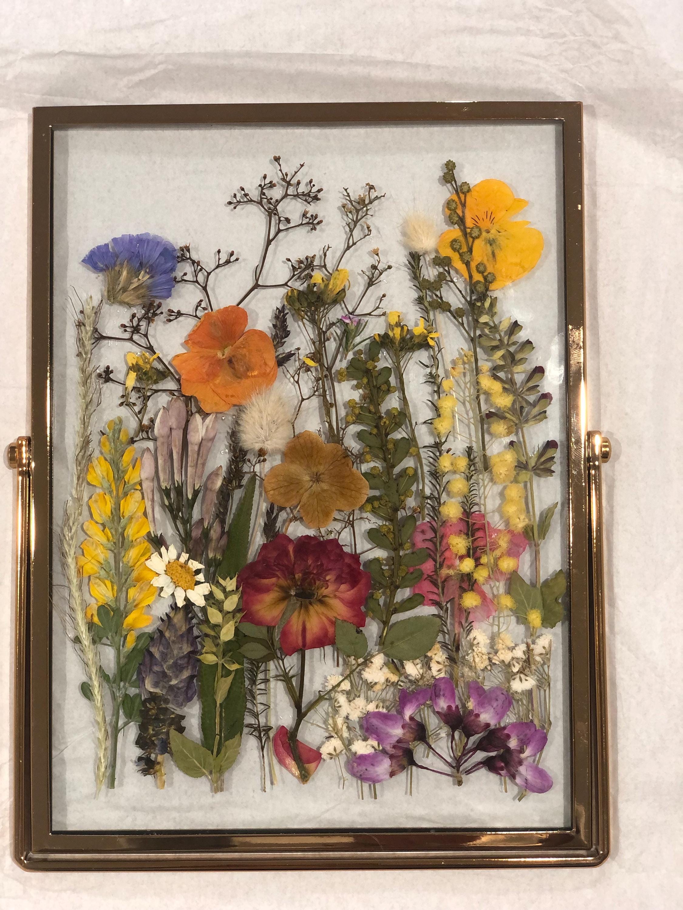 Pressed Flower Frame, Dried Flowers, Real Pressed Flowers Art, Double ...