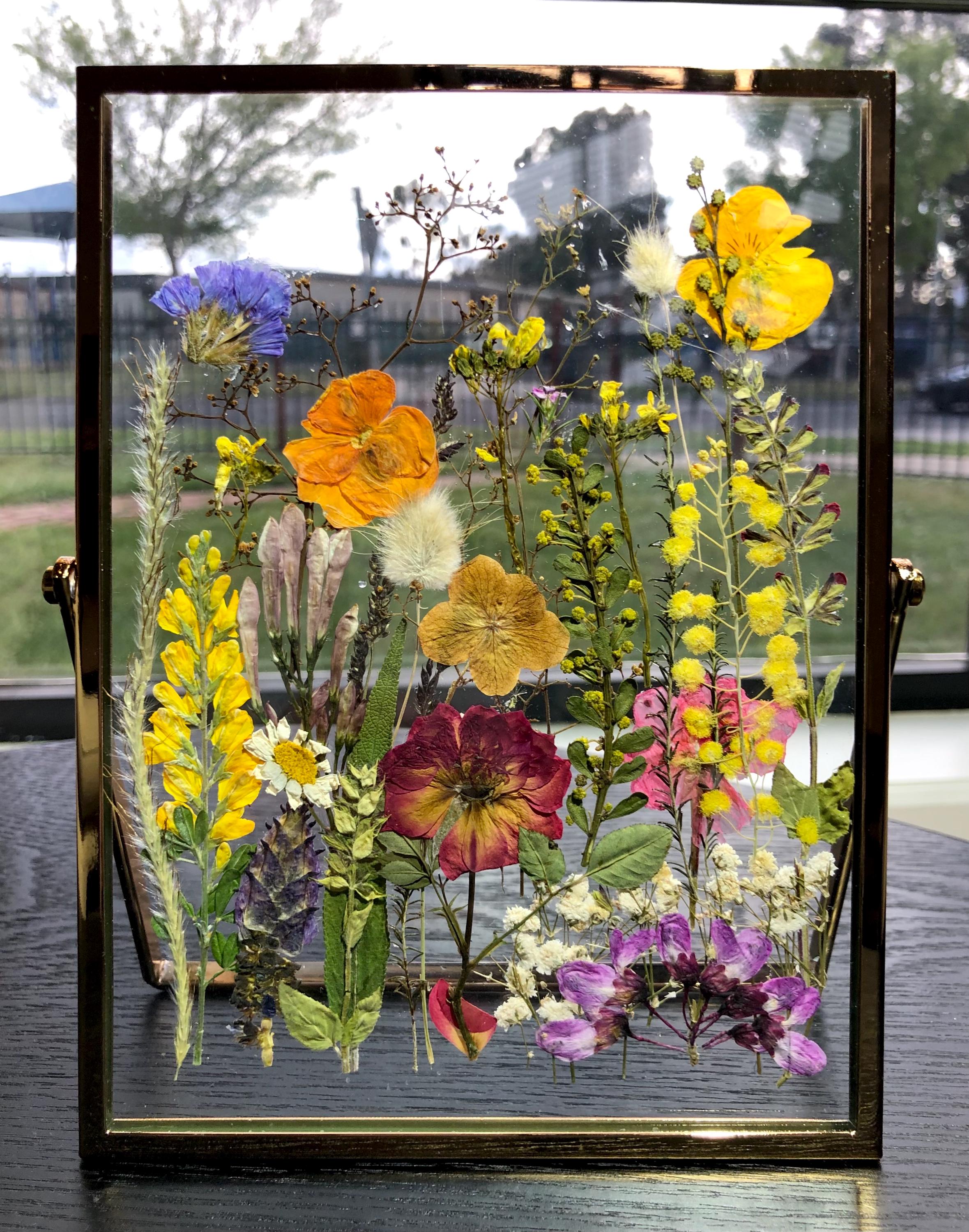 Pressed Flower Frame, Dried Flowers, Real Pressed Flowers Art, Double ...