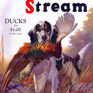 Vintage Field Bird Hunting Outdoor Print Poster Rustic Wall Decor ...