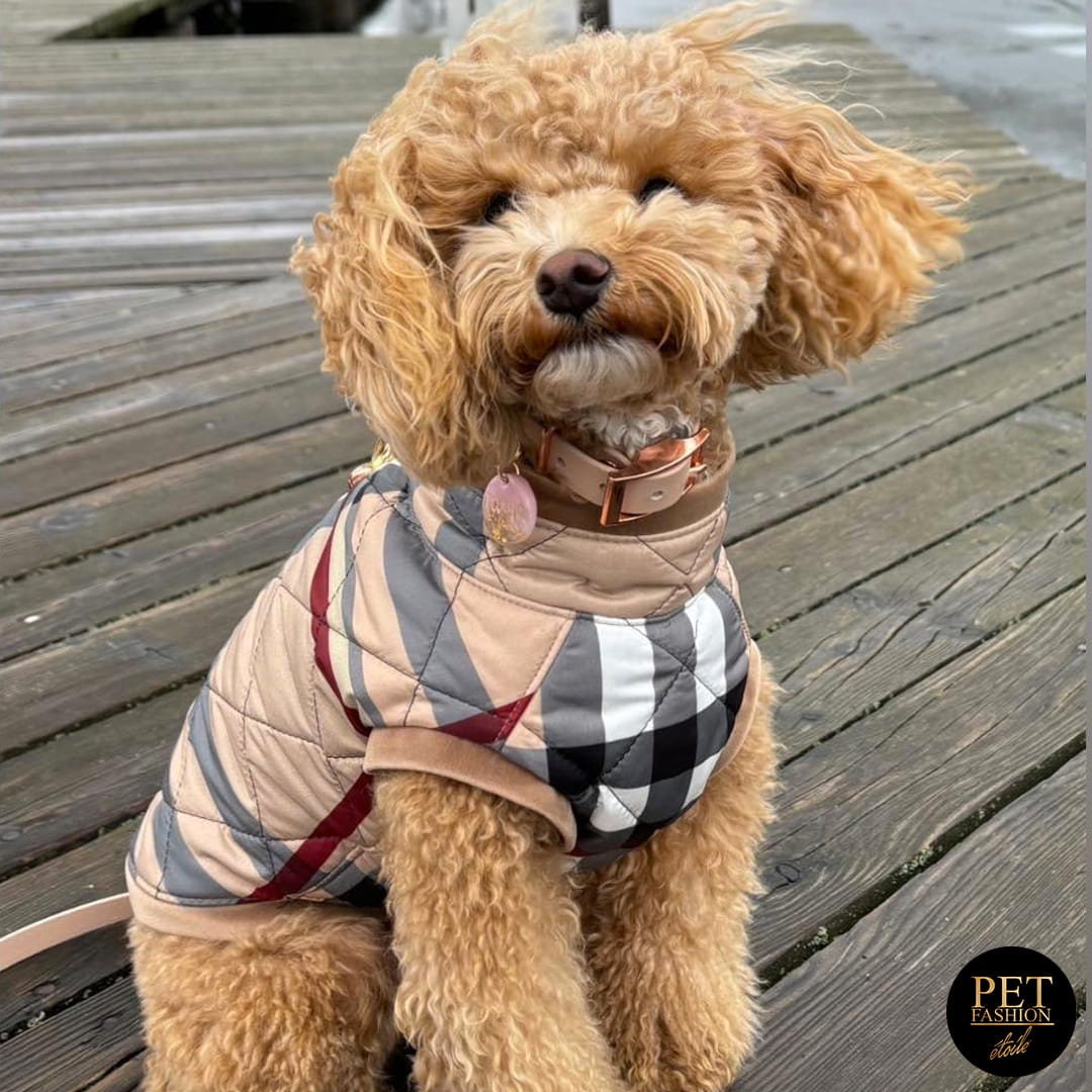 Waterproof Quilted Dog Coat With Harness, Stylish Dog Jacket With ...