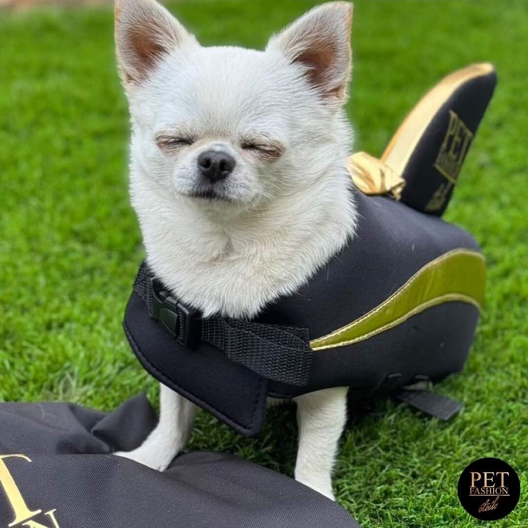KAPOK for a Dog SHARK, Life Jacket, Dog Shark Life Jacket, Dog Life ...