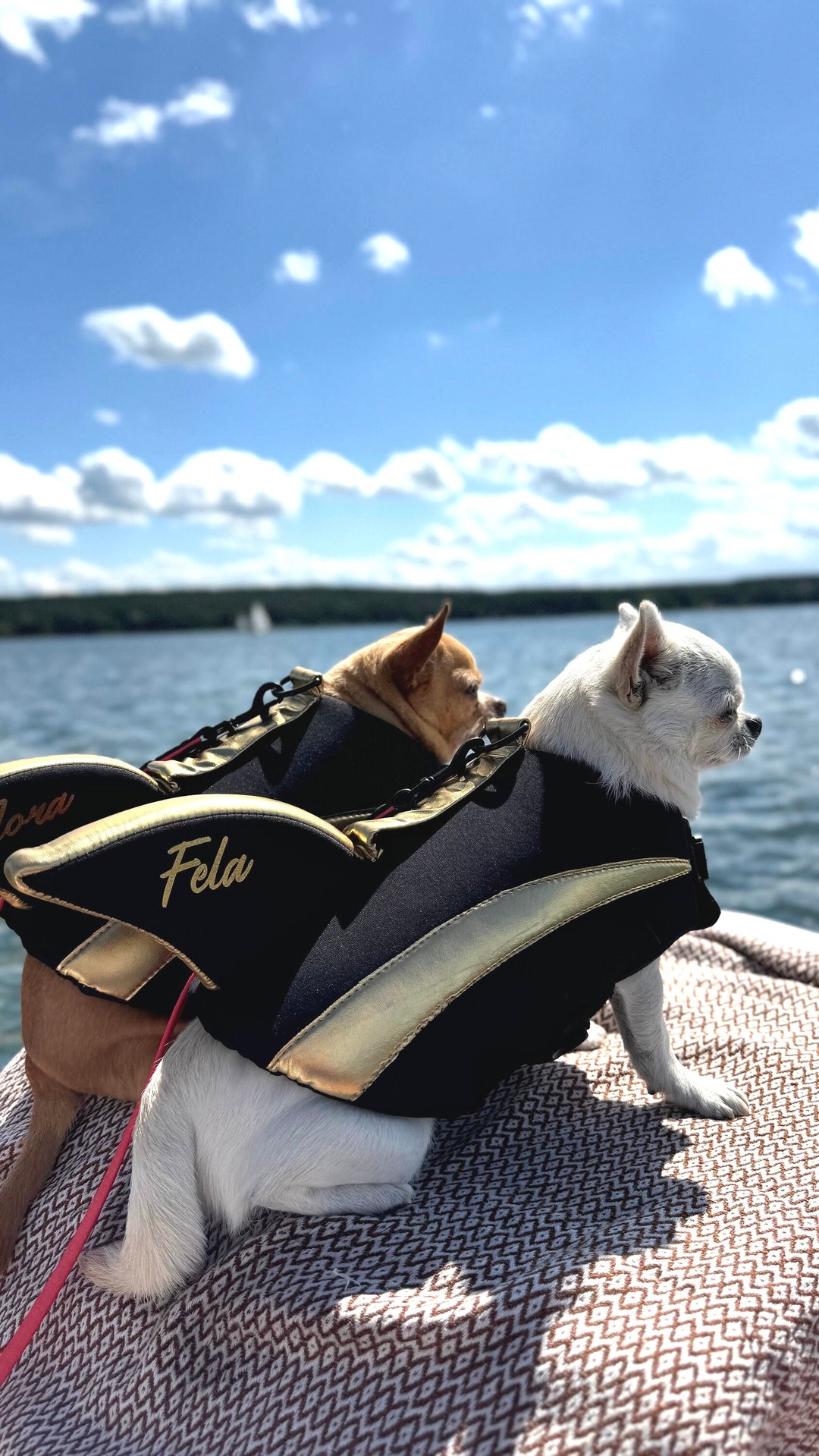 KAPOK for a Dog SHARK, Life Jacket, Dog Shark Life Jacket, Dog Life ...