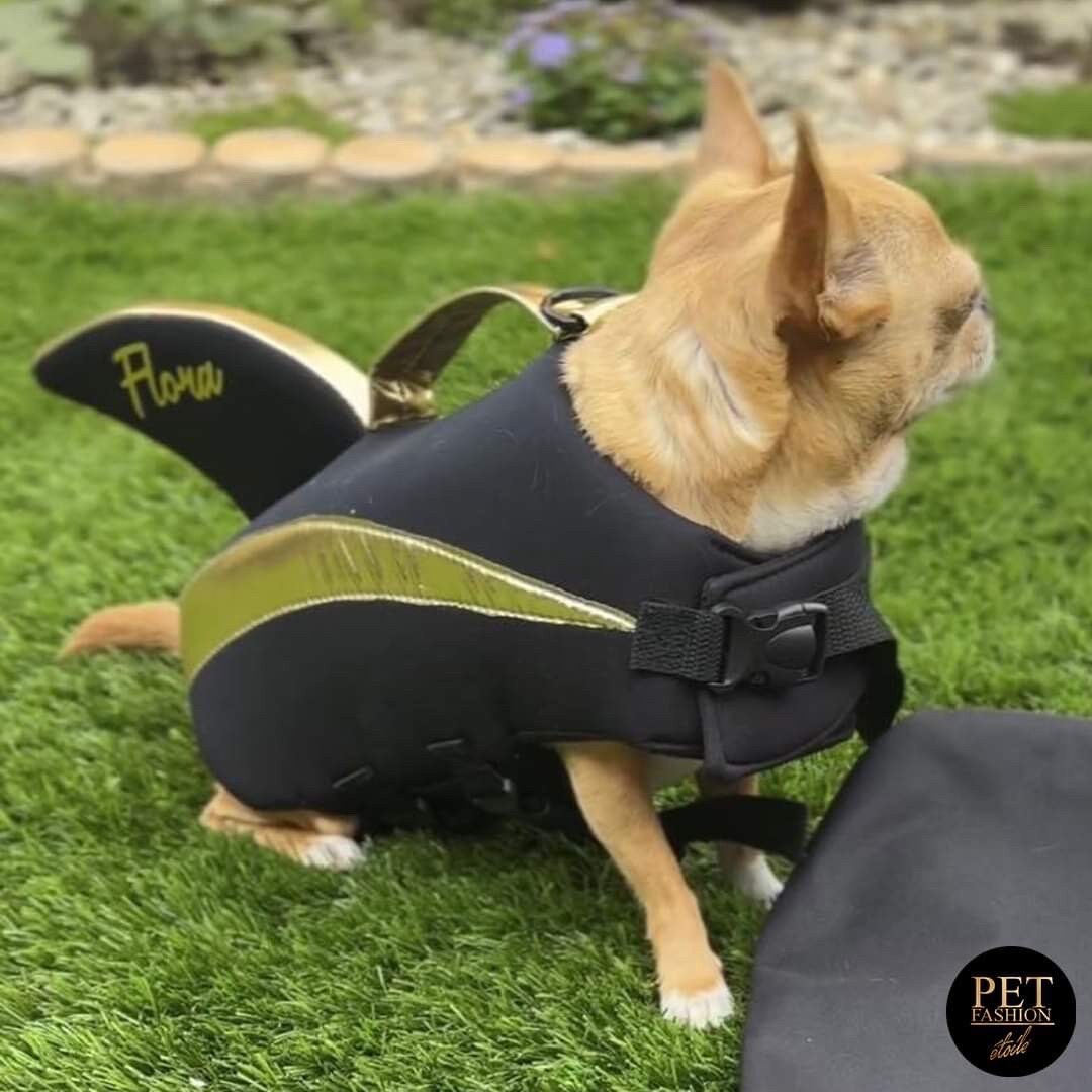 KAPOK for a Dog SHARK, Life Jacket, Dog Shark Life Jacket, Dog Life ...