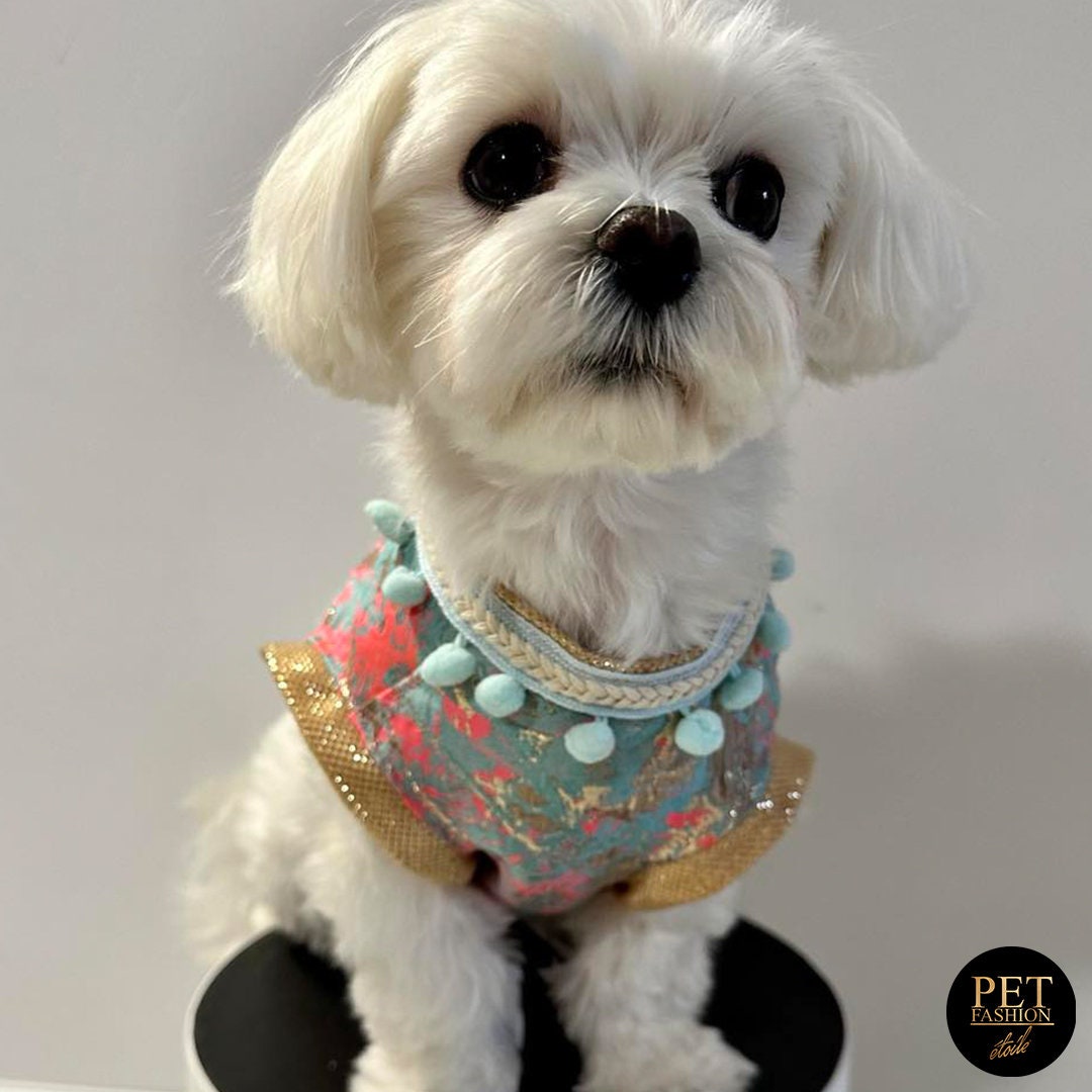 Boho Harness for a Dog, Vest for a Maltese, Maltipoo, Poodle, Bichpoo ...