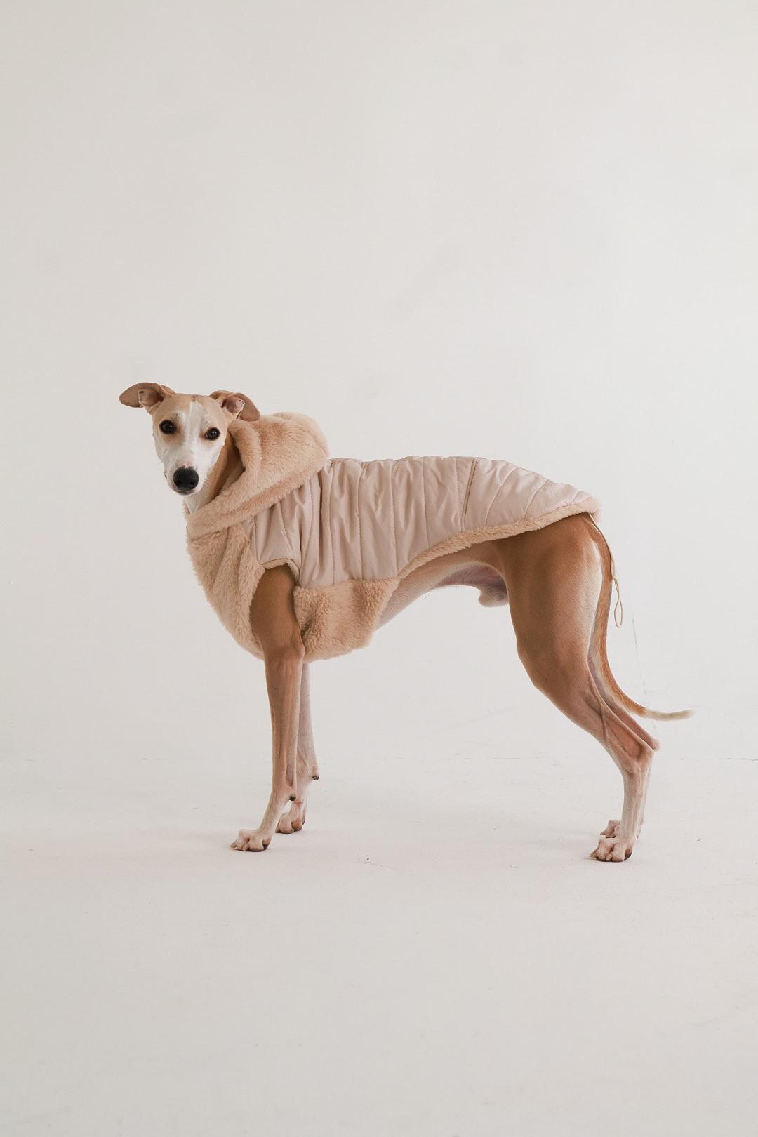 ASPEN Sighthound Jacket in Beige – Quilted Waterproof Dog Coat With Fur ...