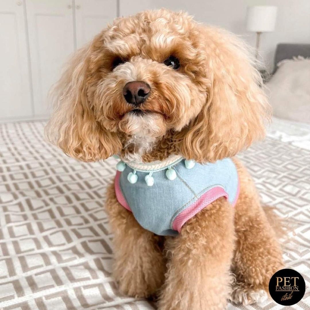 Boho Harness for a Dog, Vest for a Maltese, Maltipoo, Poodle, Bichpoo ...