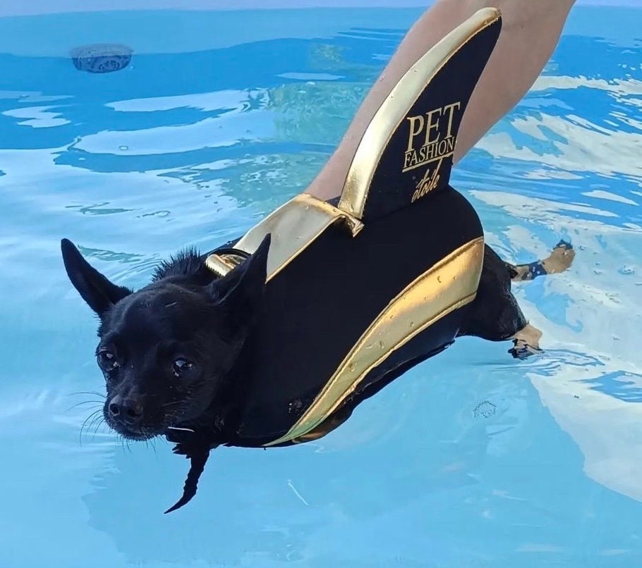 KAPOK for a Dog SHARK, Life Jacket, Dog Shark Life Jacket, Dog Life ...