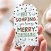 Here's Soaping You Have A Merry Christmas Tag, Printable Merry ...