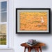 24x36 Poster of Young Woman in Super-bloom Poppy Field - Etsy