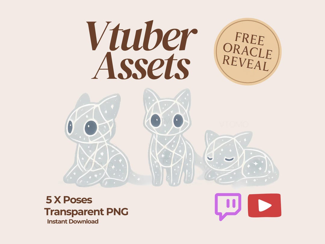 Starwoven Pngtuber Model | 5 Pose Premade Vtuber Avatar Chibi Cosmic ...