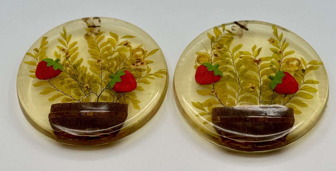 Pair of Vintage Strawberry and Pressed Flowers Acrylic / Resin / Lucite ...