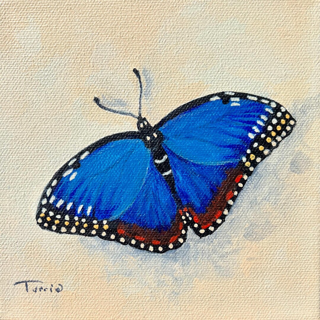The Blue Morpho Butterfly 6" X 6" X 1.5" Original Butterfly Painting on ...
