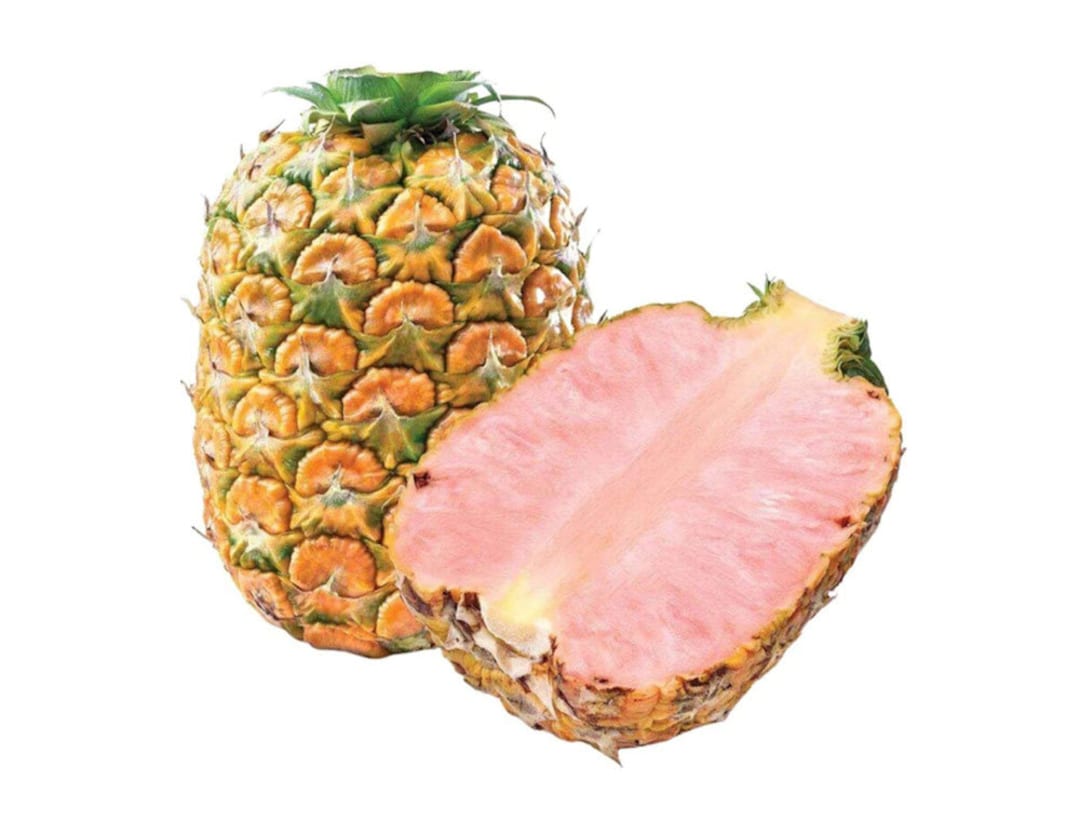 Pink Pineapple *super Rare* Superfood | Shipped Fresh to You! - Etsy