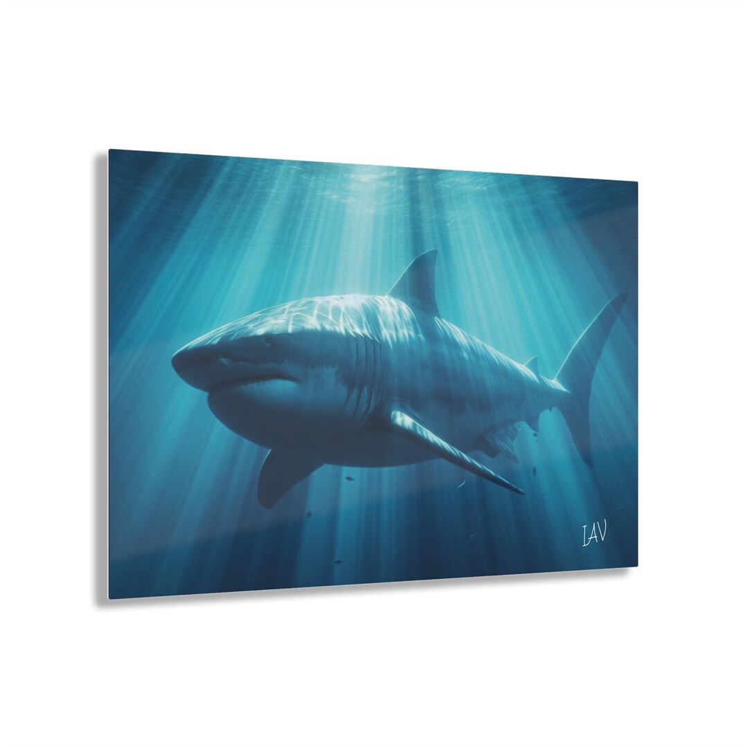 Megalodon Under the Sea Megalodon-3 Series A IAV Acrylic Prints - Etsy