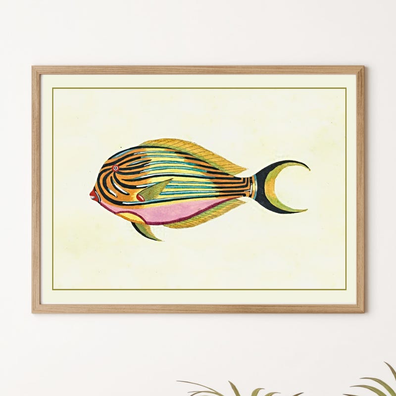 Antique Fish Print - Etsy