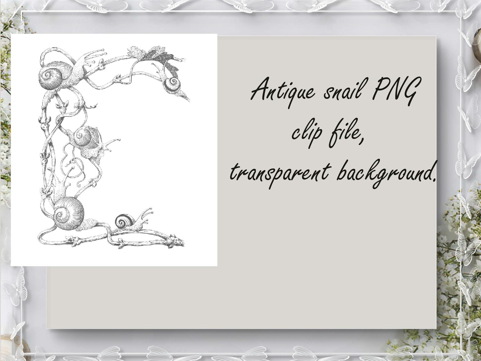 Vintage Snail Border Illustration PNG, Transparent Background Drawing ...