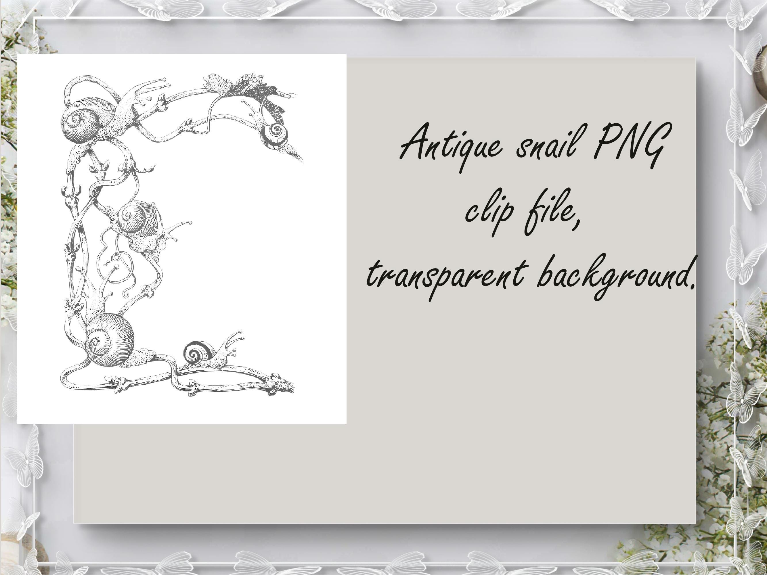 Vintage Snail Border Illustration PNG, Transparent Background Drawing ...