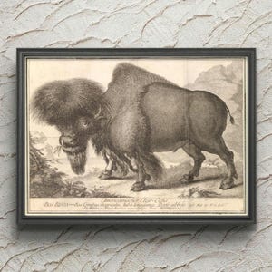 American Buffalo Art Print, Bison Wall Art Digital Download, High Res ...