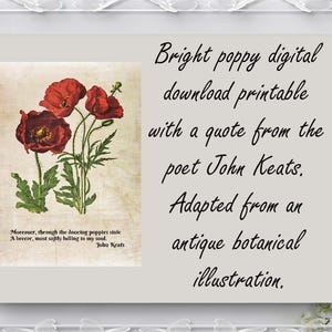 Red Poppy Picture, Poetry Quote Printable, Flower Art Download, John ...