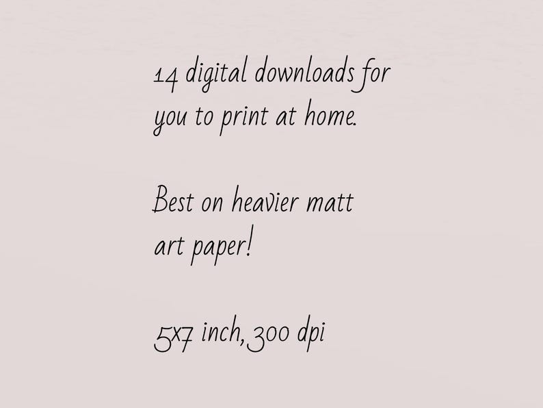 Medieval Illuminated Manuscript Prayer Book Pages | Digital Download ...