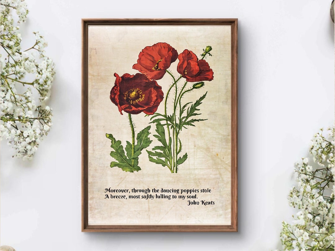 Red Poppy Picture, Poetry Quote Printable, Flower Art Download, John ...
