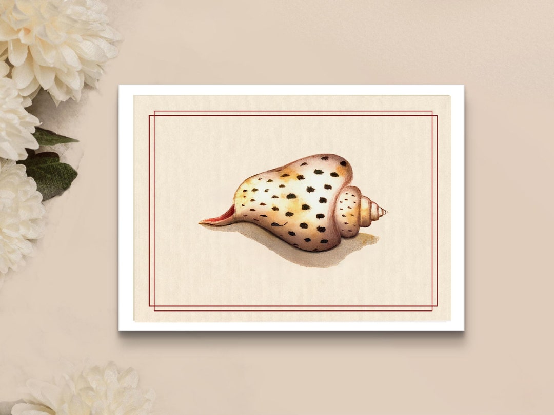 Minimalist Shell Drawing Printable, Beige White Home Decor, Soft Colors ...