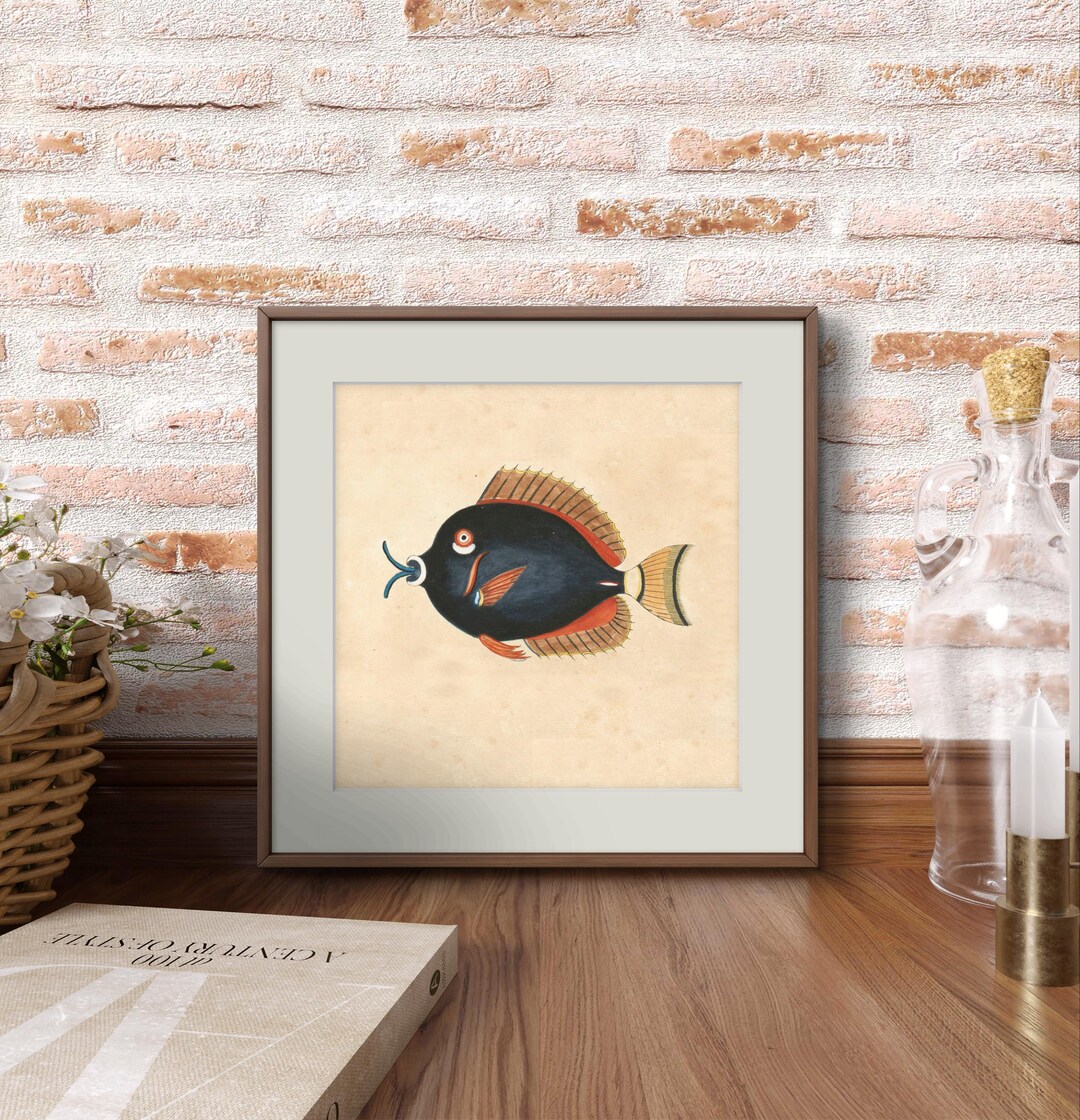 Fish Print Wall Art, Printable Poster, High Resolution Download ...