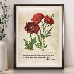 Red Poppy Picture, Poetry Quote Printable, Flower Art Download, John ...