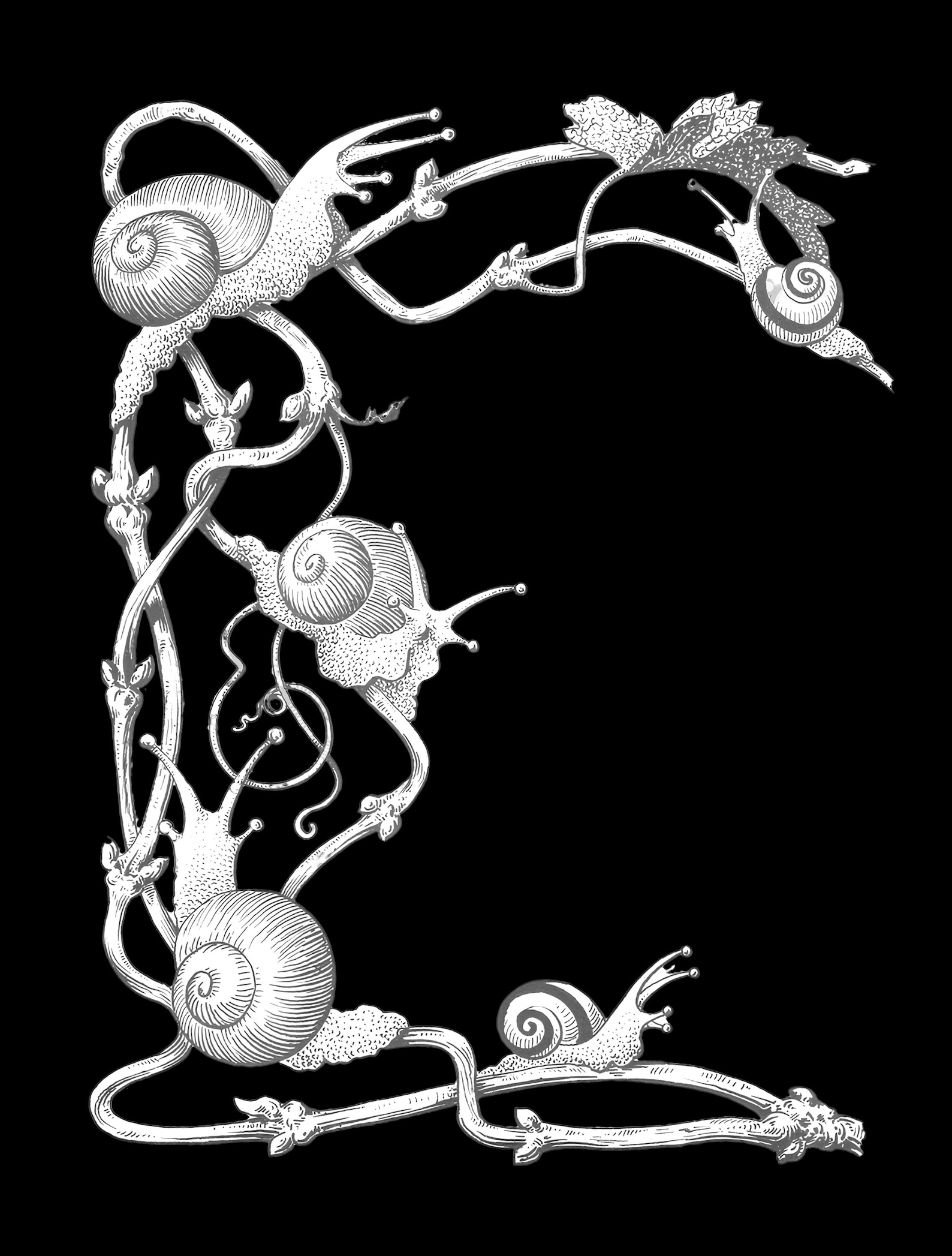 Vintage Snail Border Illustration PNG, Transparent Background Drawing ...