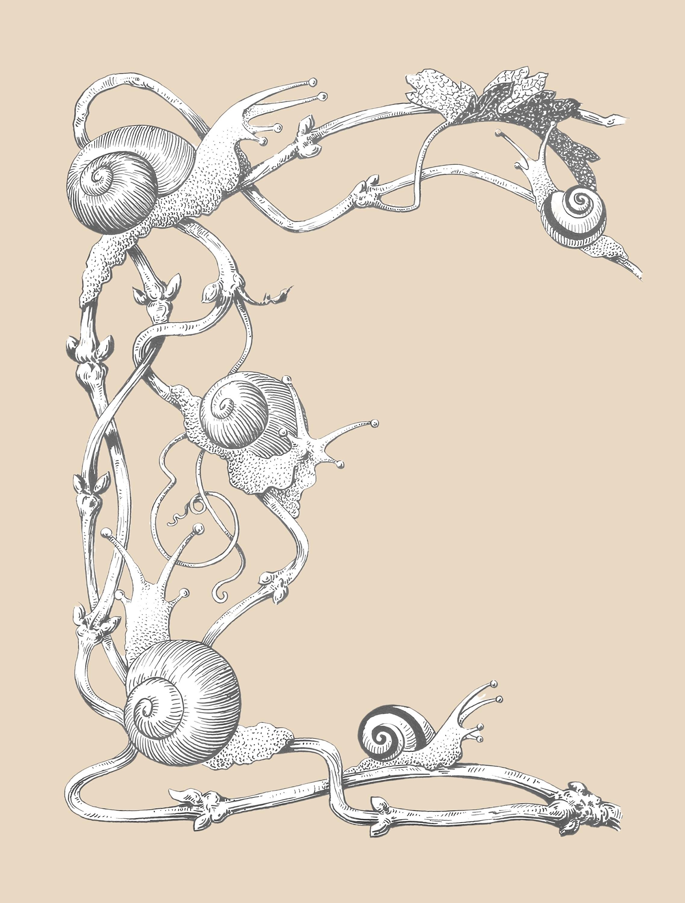 Vintage Snail Border Illustration PNG, Transparent Background Drawing ...