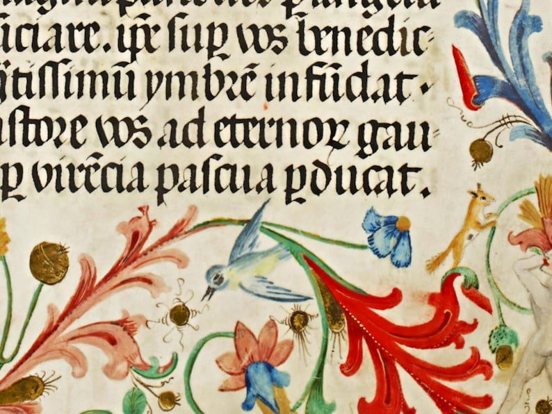 Medieval Illuminated Manuscript Prayer Book Pages | Digital Download ...