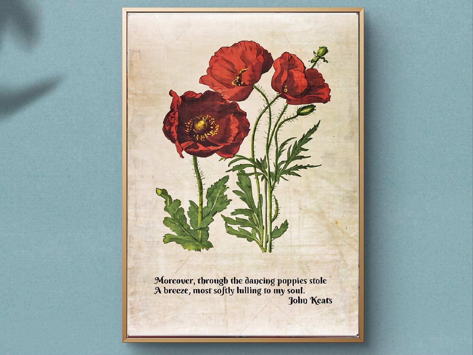 Red Poppy Picture, Poetry Quote Printable, Flower Art Download, John ...