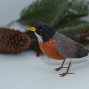 Needle Felted American Robin. - Etsy