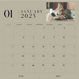 2025 Cat Calendar- Printable-digital Download - Etsy