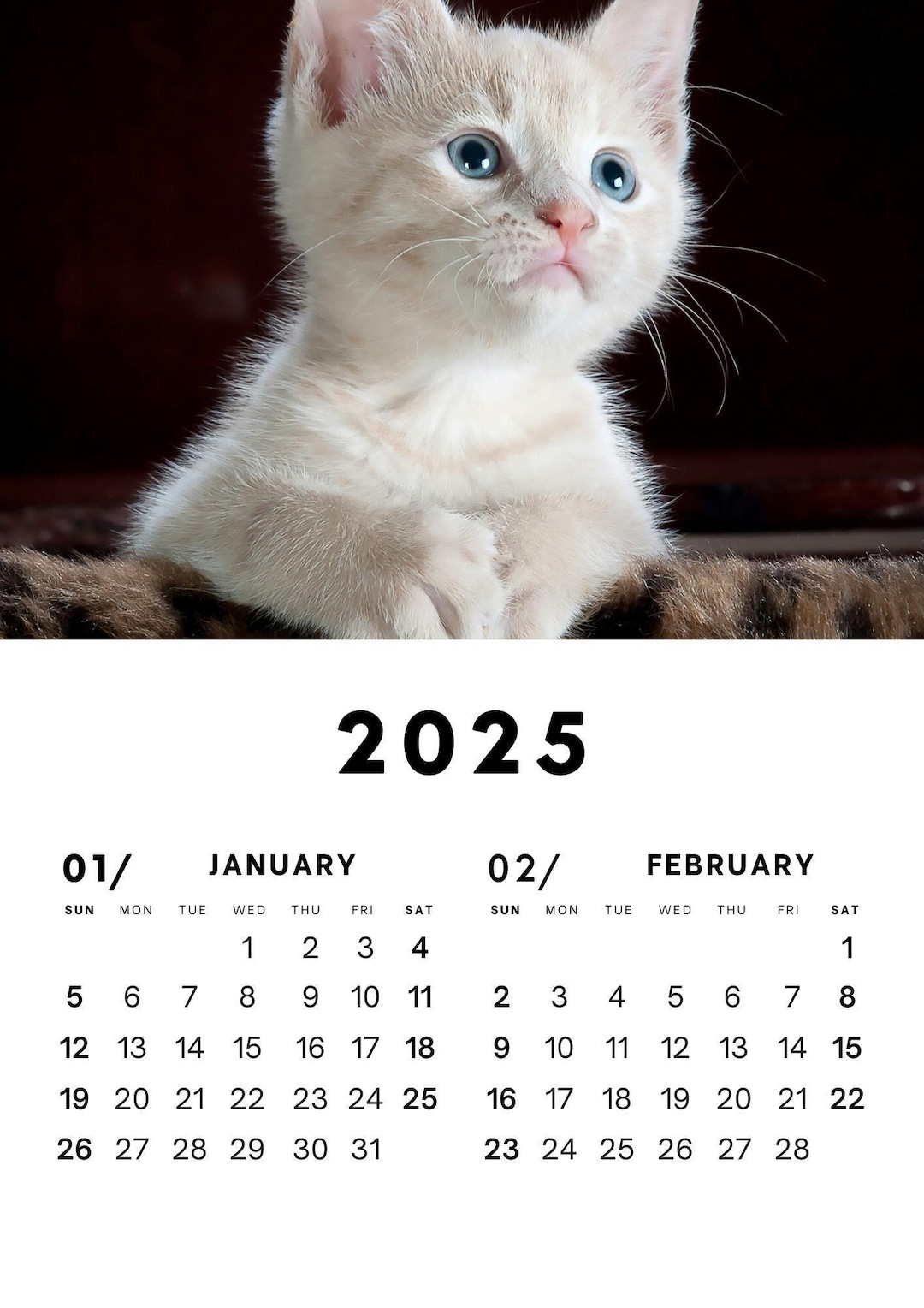 2025 Digital Download-calendar-cat - Etsy