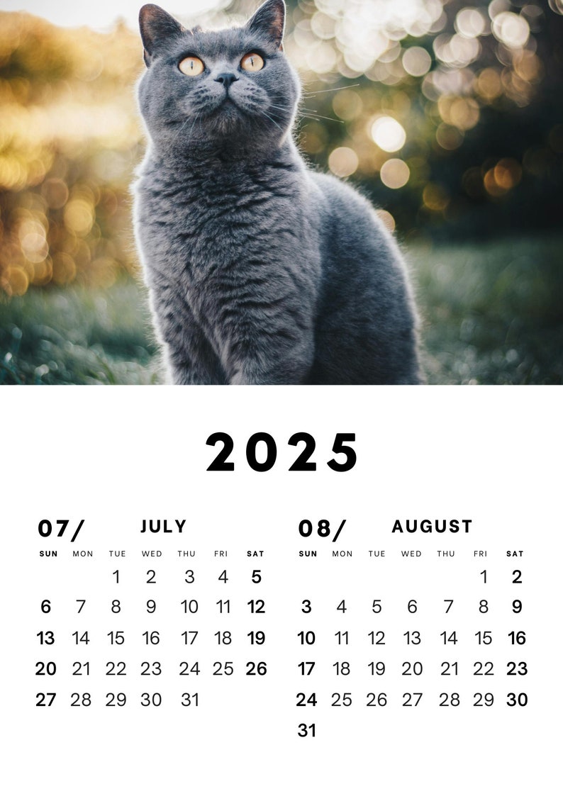 2025 Digital Download-calendar-cat - Etsy