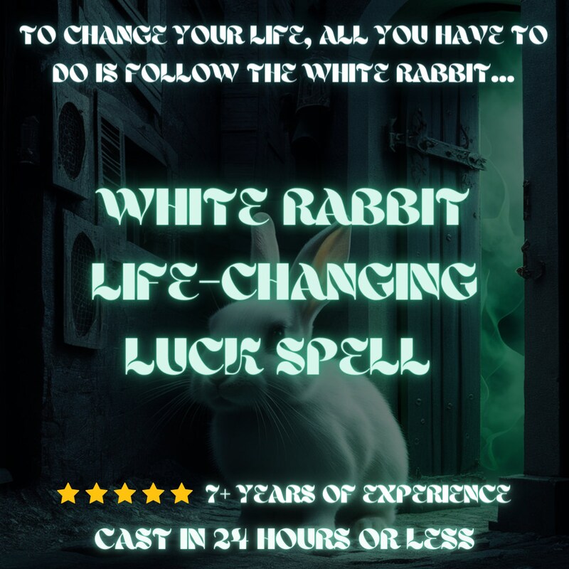 Follow the White Rabbit - Etsy