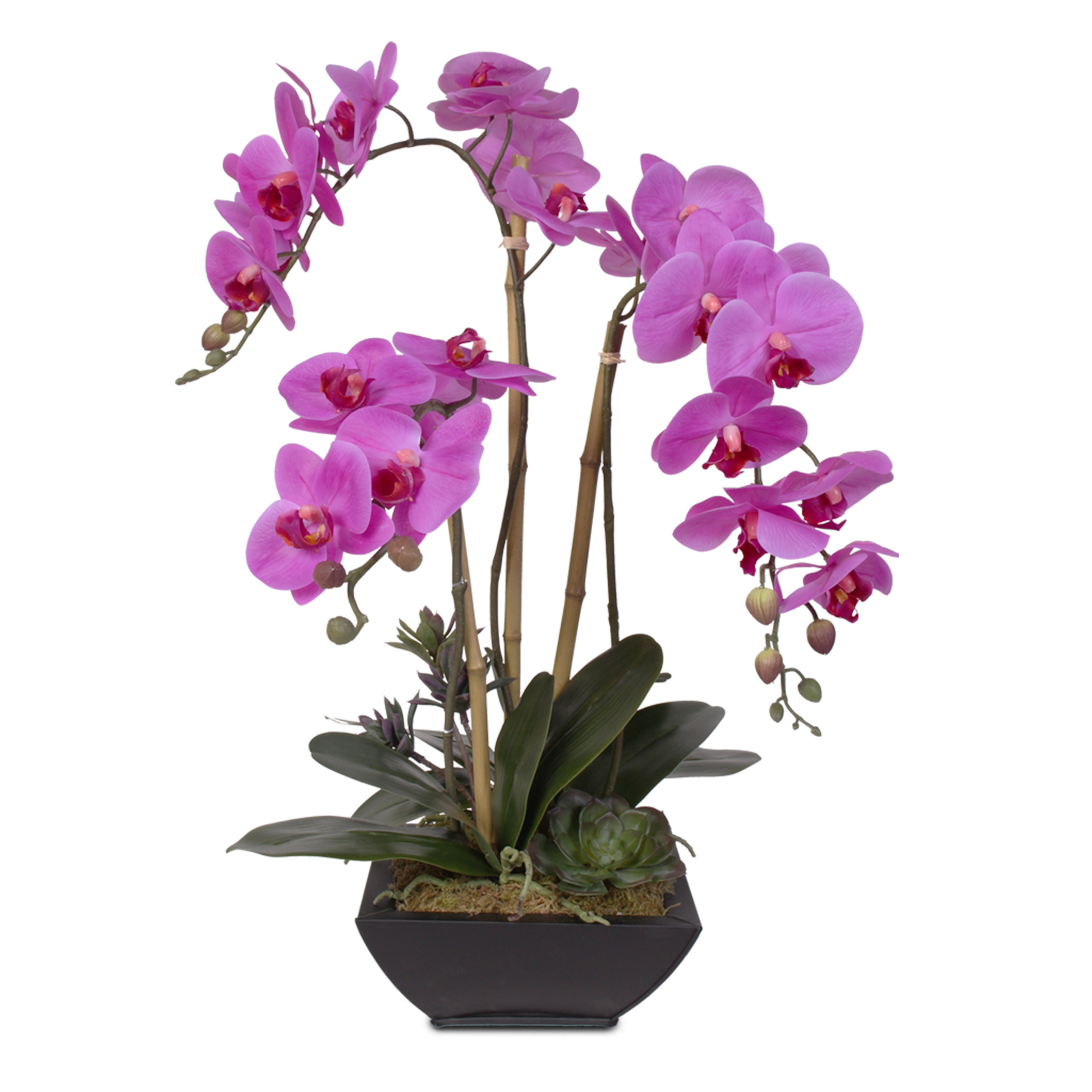 Real Touch Phalaenopsis Silk Orchid Arrangement in a Metal Pot - Etsy