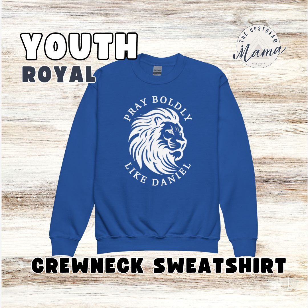 Pray Boldly Like Daniel YOUTH Crewneck Sweatshirt Bible Heroes ...