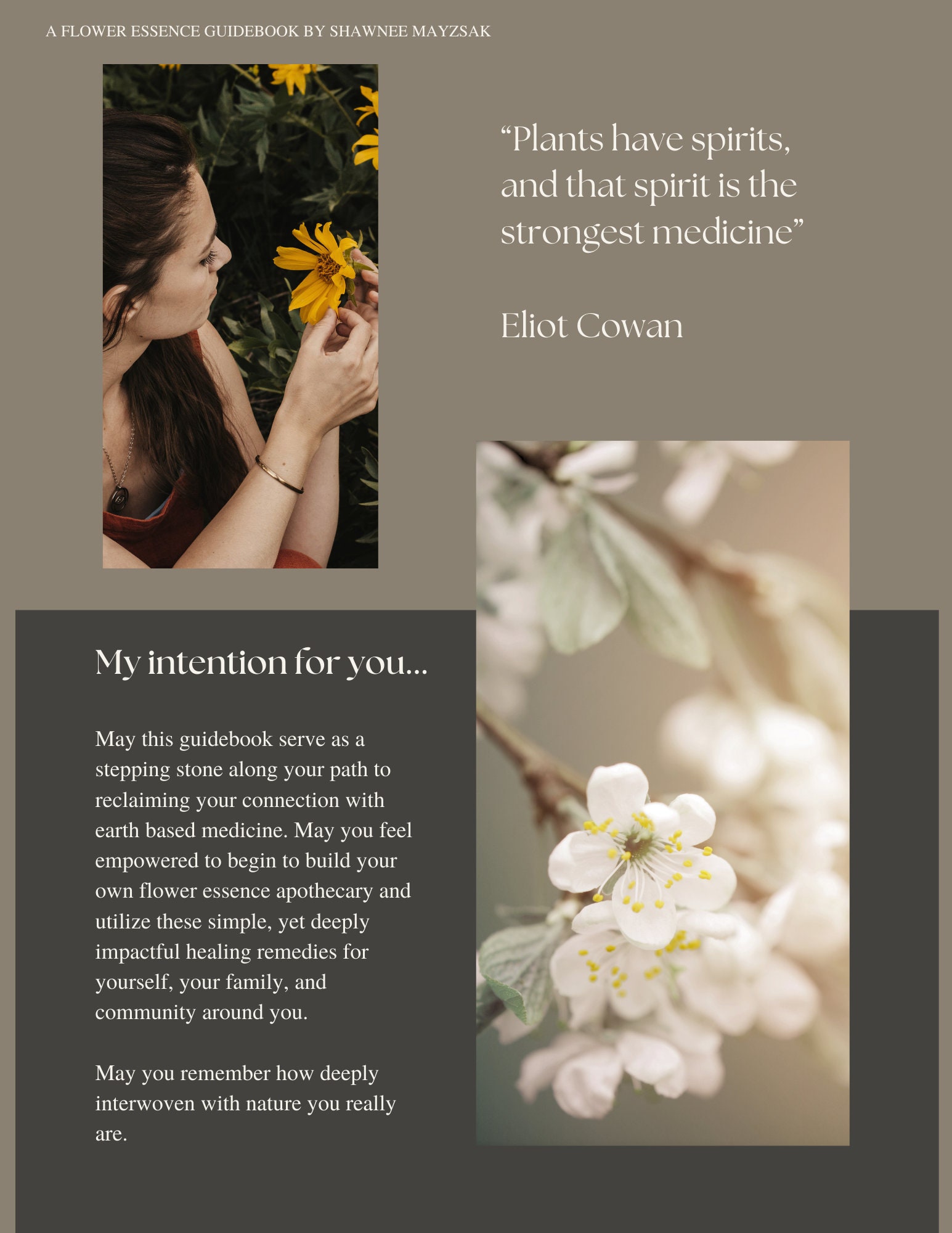 How to Collect Flower Essences Guidebook - Etsy